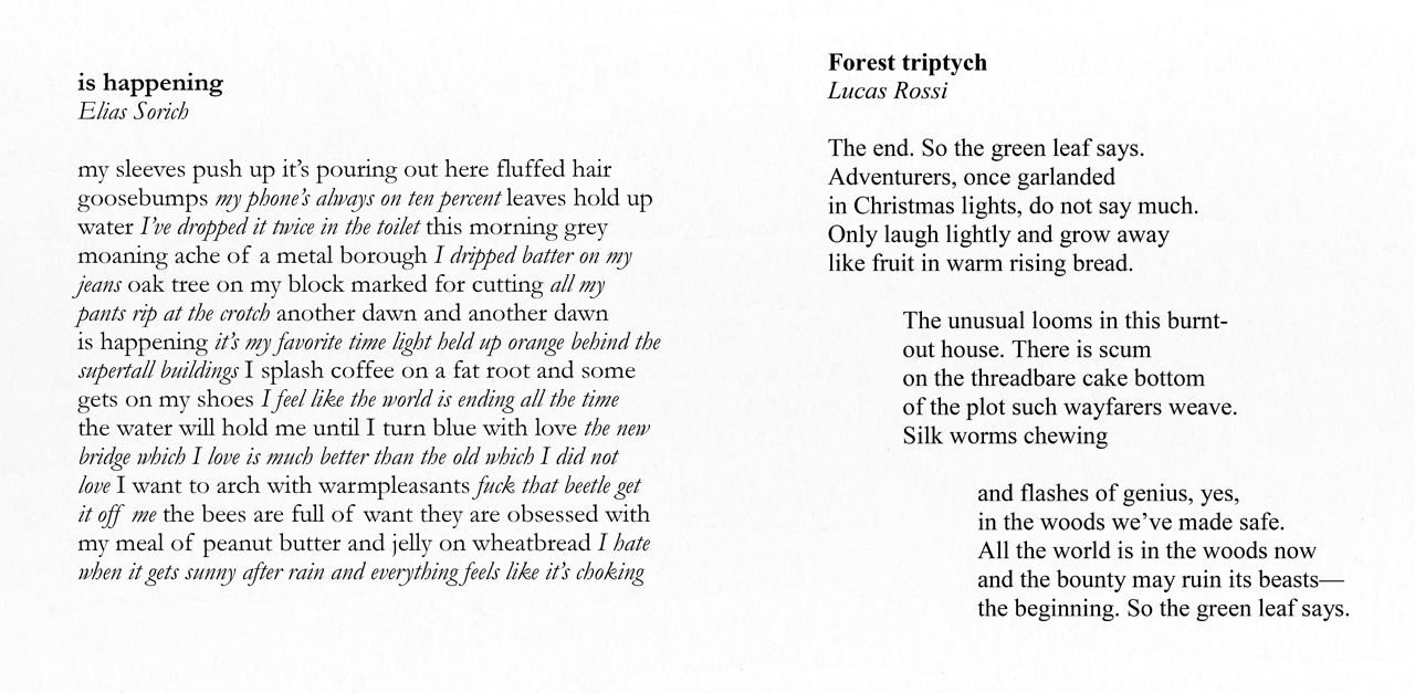 Rabbit Island - Page 2 - The story of a remote island in Lake Superior